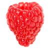 La Popsi – Real fruit that melts